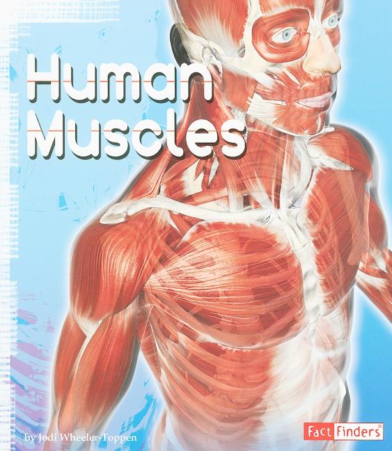 HUMAN MUSCLES – GBS Books.com